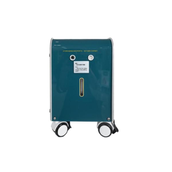 Quality 300ml 600ml HHO Hydrogen Breathing Machine PEM Dual Chamber Technology for sale
