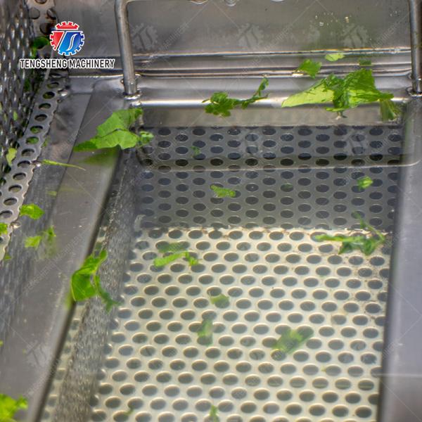Quality Single cylinder fruit and vegetable washing machine with slag separator Leaves for sale