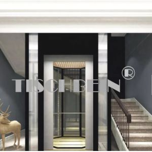 Quality 630kg 800kg 1000kg 1150kg 2.0m/S Panoramic Elevator With Hairline St. St. Finish for sale