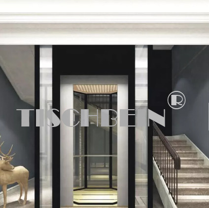 Quality 630kg 800kg 1000kg 1150kg 2.0m/S Panoramic Elevator With Hairline St. St. Finish For Hotel Residential Building for sale