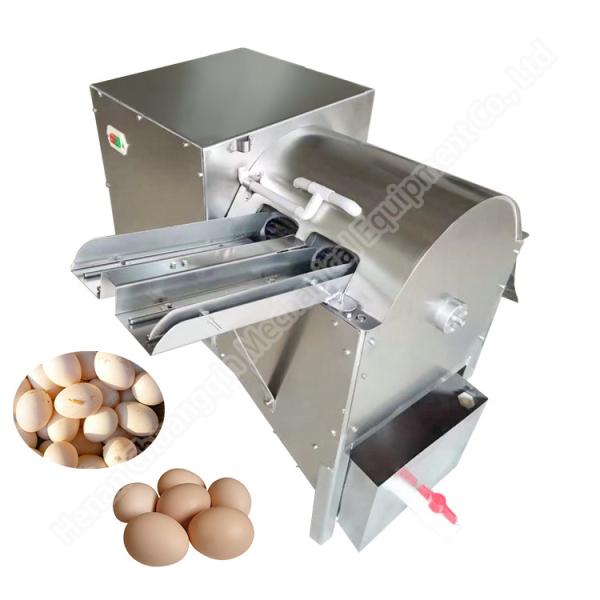 Quality 4000pcs/H Automatic Egg Washer Machine Fresh Egg Washing Equipment 304 Stainless for sale