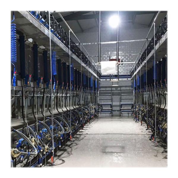 Quality Large Herringbone Electric Dairy Automatic Milking Parlor For Cows for sale