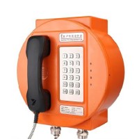 Quality Outdoor IP66 Aluminium Alloy Enclosure Explosion Proof Telephone with Strong for sale