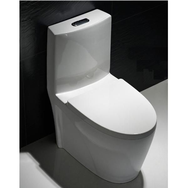 Quality One Piece Round Toilet Dual Flush Single Piece Commode Flush Tank 12 Rough In for sale