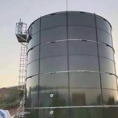 Quality Giant Cow Manure Methane Digester ASBR Anaerobic Sequencing Batch Reactor for sale