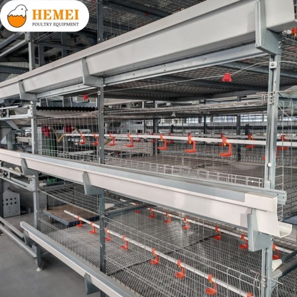Quality Ventilation is a key factor affecting raising effect for sale