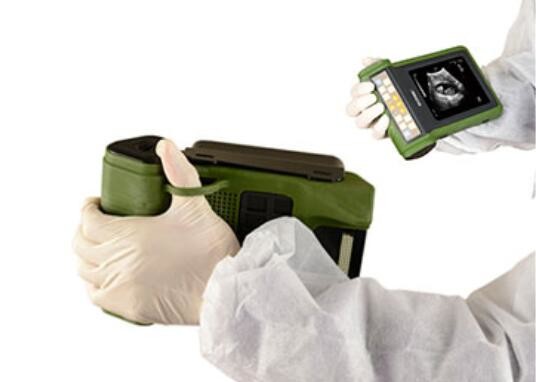 Quality Mini Veterinary Ultrasound Scanner for sale