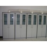 Quality Exhaust Type All Lockable Chemical Storage Cabinets Cold Rolled Steel Sheet for sale