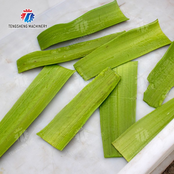 Quality Aloe peeling machine processing production Peeling Machine for sale