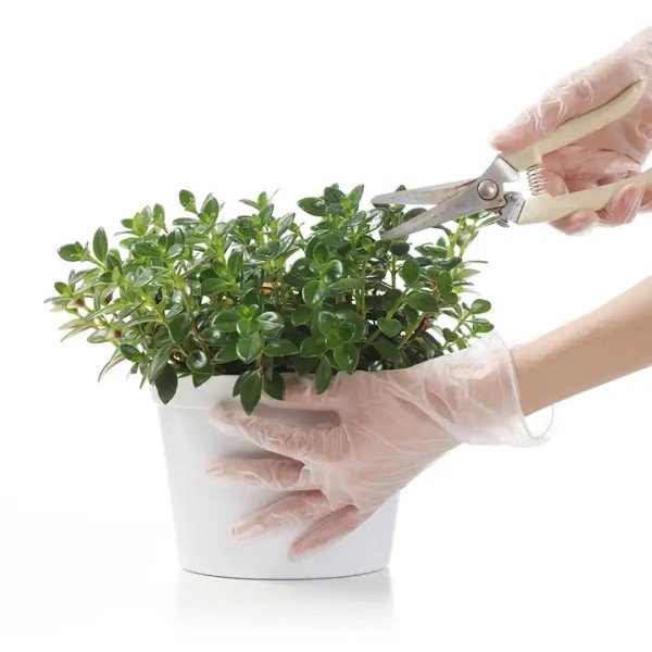 Quality Waterproof Disposable Vinyl Gloves Transparent Use For Kitchen for sale