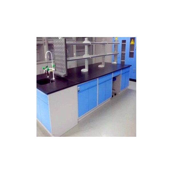 Quality Organized Workspace Laboratory Table Workbench for Chemical Reagent Storage for sale