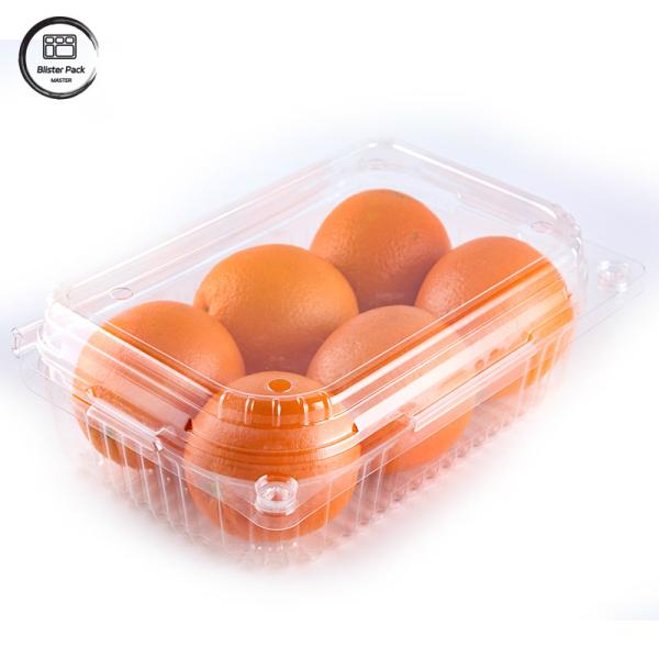 Quality Disposable Hinged Transparent PET Clamshell Fruit Containers for Orange for sale