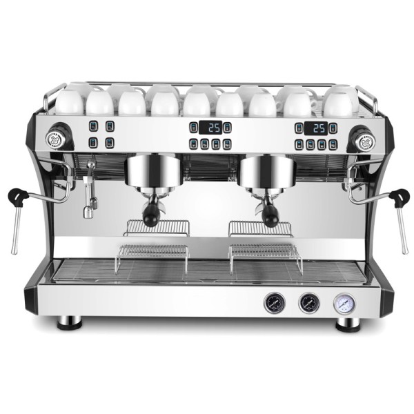 Quality Cafe Shop Silk Coffee Machine Double Group Multi Boiler 550ml 3 In 1 Coffee Maker for sale