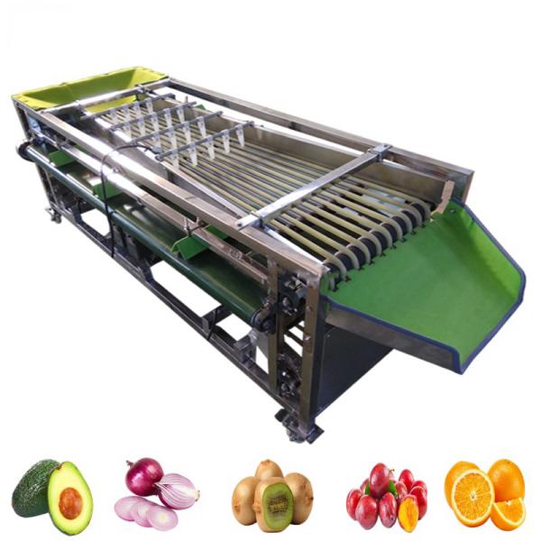 Quality Automatic Production And Fruit Size Grader Fruit Vegetable Processing Machine for sale