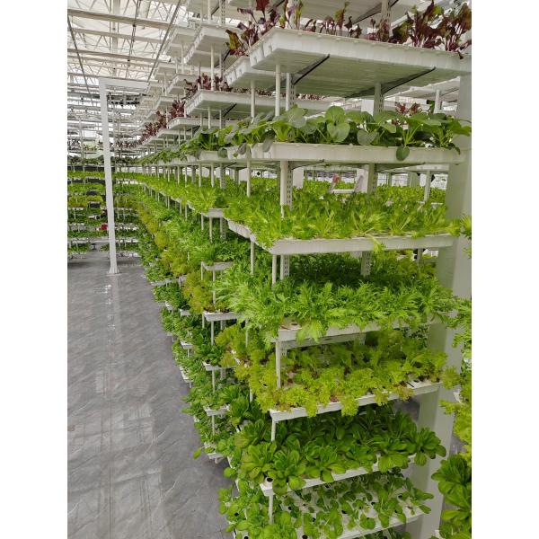 Quality Vertical Farming Hanging Plant Hydroponic Intelligence Farming for sale