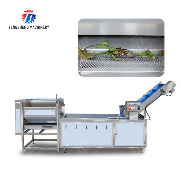 Quality Citrus cleaning production line Fruit Orange Wash Washer Washing Cleaning Dryer for sale