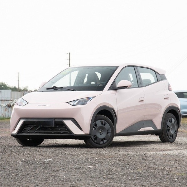 Quality Small Byd Seagull EV Hatchback Car 450KM 2024 Electric Vehicle for sale