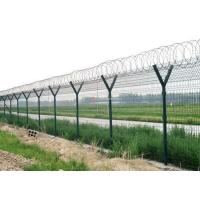 Quality Powder Coated Green 358 Prison Anti Climb Security Fencing for sale
