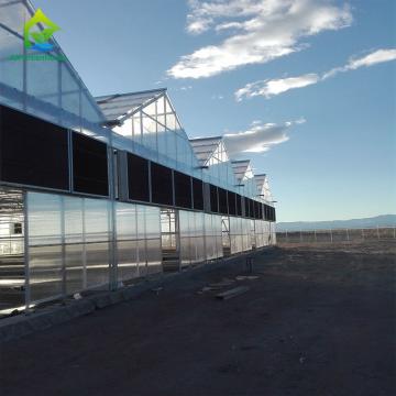 Light Dep Blackout PC Sheet Greenhouse Hemp Flowerhouse Farmhouse Greenhouse