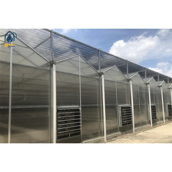 Quality UV Resistant Polycarbonate Greenhouses Agriculture Heavy Duty Greenhouses With Precision Climate Control for sale
