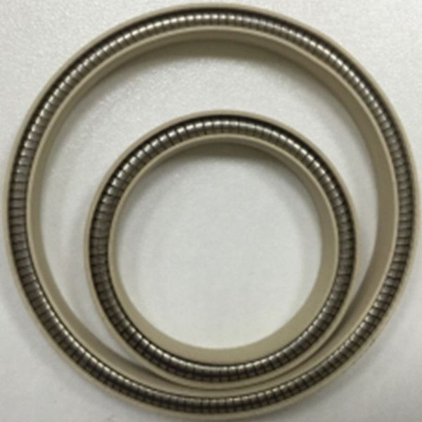 Quality Sealing ring: accessory, sealing, environmental protection, cleanliness. for sale