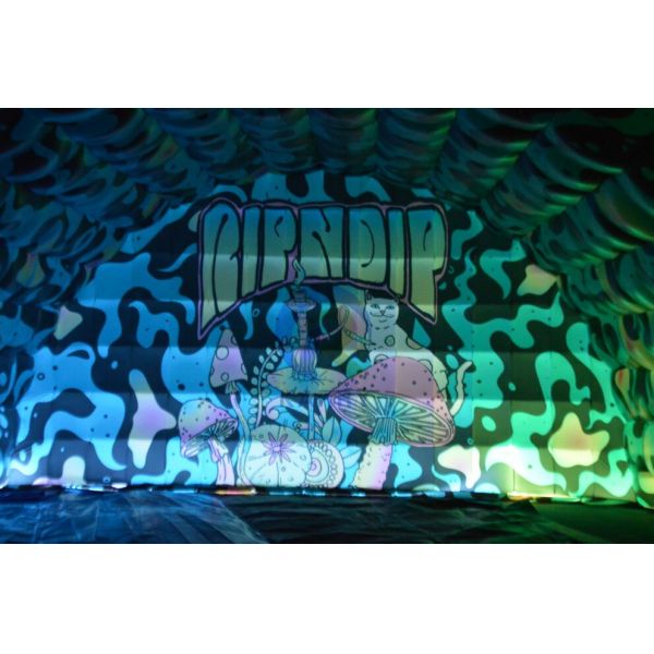 Quality Outdoor Playground Colorful Led Inflatable Tunnel Entrance Tent for Event for sale