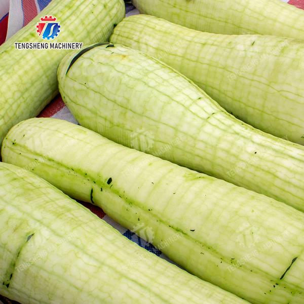 Quality Large winter melon peeling machine papaya chieh-qua pumpkin wax gourd pineapple for sale