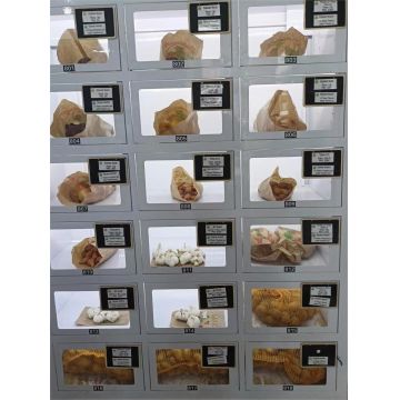 Quality For Farmer Use Coin Cash Operated Customized Refrigerated Locker Fresh Eggs for sale