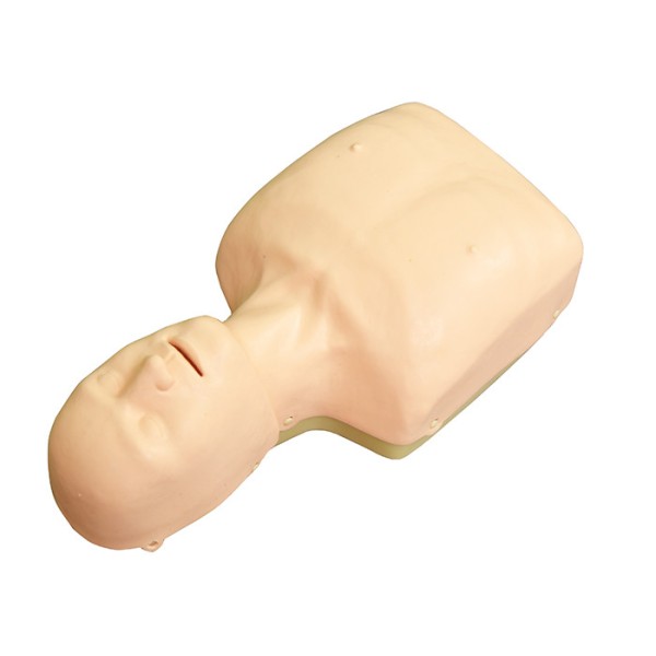 Quality Simple Cardiopulmonary Resuscitation Simulated Manikin For Training for sale