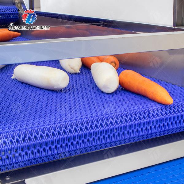 Quality Enhance Your Production with Our State-of-the-Art Fruit And Vegetable Processing for sale
