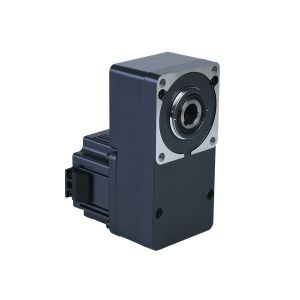 Quality Brushless Gear Motor for sale