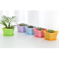 Quality Vegetable Garden PP Resin Not Brittle Round Flower Pots 9x6x8cm for sale
