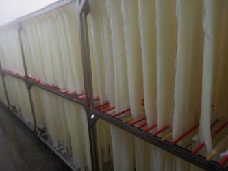 China Factory - Qingdao  Opal Industrial Co.,Ltd
