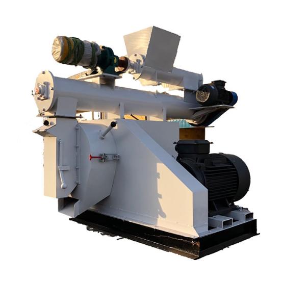 Quality HKJ250 Ring Die Feed Pellet Mill 1.5T/H 3mm Animal Feed Production Machine for sale