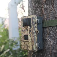 Quality Batteries Operated Digital Wildlife Camera Infrared Animal Trail Video Surveillance Non Wireless for sale