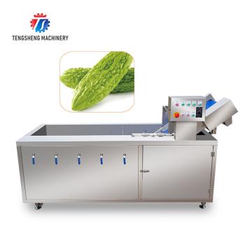 Quality 2.6KW Impurity Filter Fruit And Vegetable Washing Machine Citrus Apple for sale