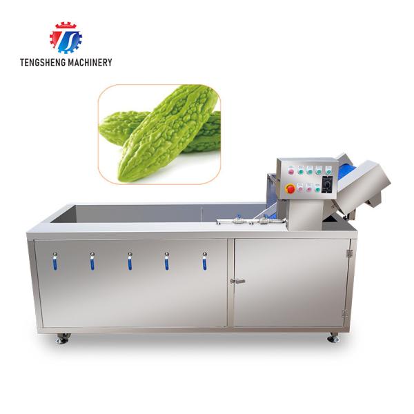Quality 2.6KW Impurity Filter Fruit And Vegetable Washing Machine Citrus Apple for sale
