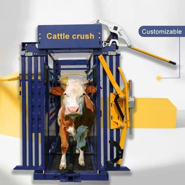 Quality Hot DIP Galvanized Scale Cattle Handling Equipment Cattle Resists Corrosion for sale