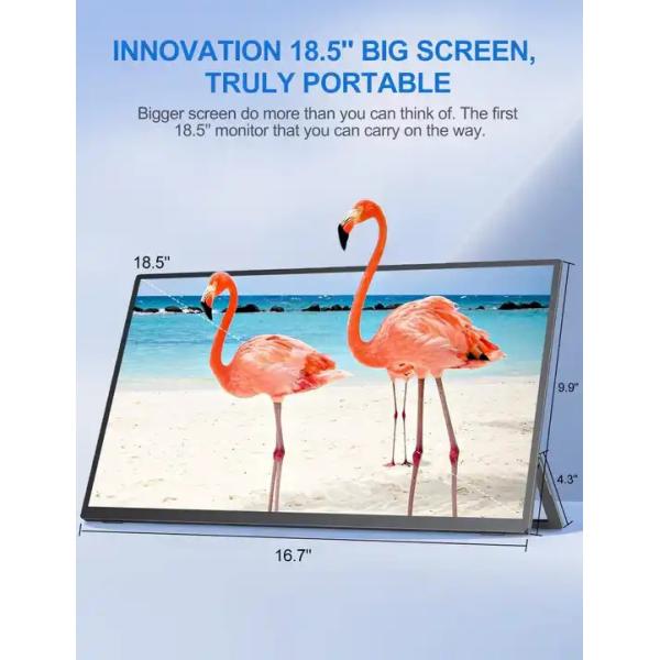 Quality 16:9 60Hz Double Laptop Portable LCD Screen Monitor Extender 300 Cd/M² for sale