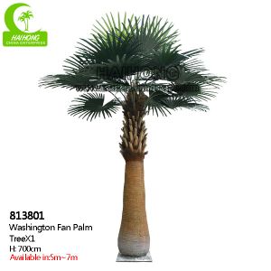 Quality UV Resistance H700cm Artificial Tropical Tree , Fake Palm Plant Indoor for sale