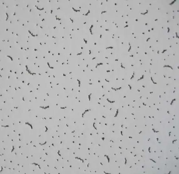 Quality Mineral Wool Decorative Ceiling Board Tile with and The Irregular Hole Surface for sale