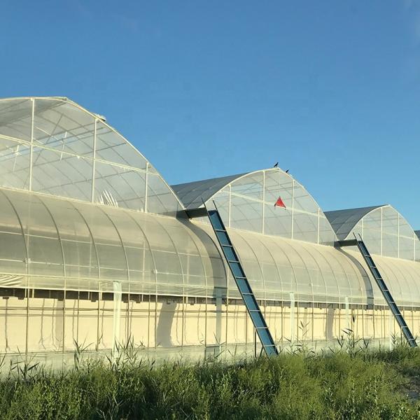 Quality Multi-Span Agricultural Greenhouses Advanced Hydroponic Growing System for for sale