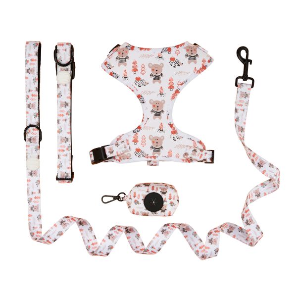 Quality Personalized Cute Dog Collar Lead Set XL Dog Leads For Big Dogs for sale