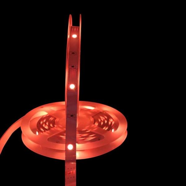Quality IP65 DC12V 10M 110 Volt LED Strip Lights for sale
