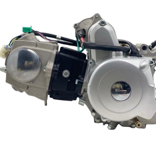 Quality DAYANG 125cc Motorcycle Engine with Air-Cooled Cylinder and Electric Start Method for sale