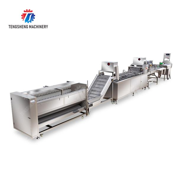 Quality Brush bubble cleaning, drying, selection and cutting production line Revolutioni for sale
