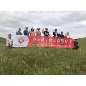 China Factory - Cangzhou Cencho Tech Solution Co.,Ltd