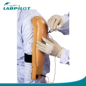 china Clinical Nursing Skills Training Medical Teaching Simulators Arm Injection