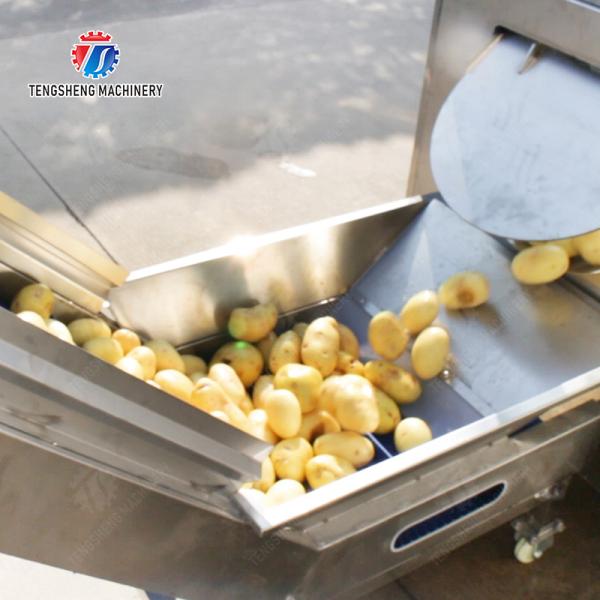 Quality Brush washing and hoisting production line Ginger Potato Carrot Taro Sweet for sale