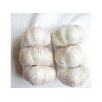 Quality Garlic mesh bag for sale
